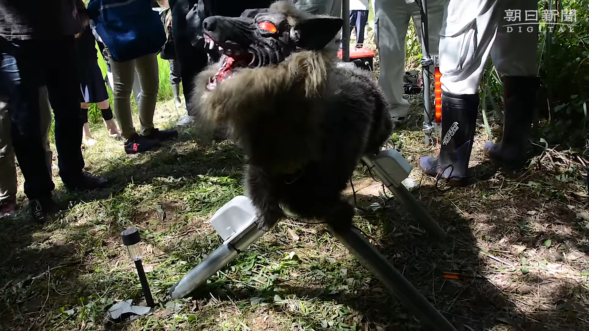 ICT Business | Jezivi japanski robot vuk brani usjeve od jelena i medvjeda